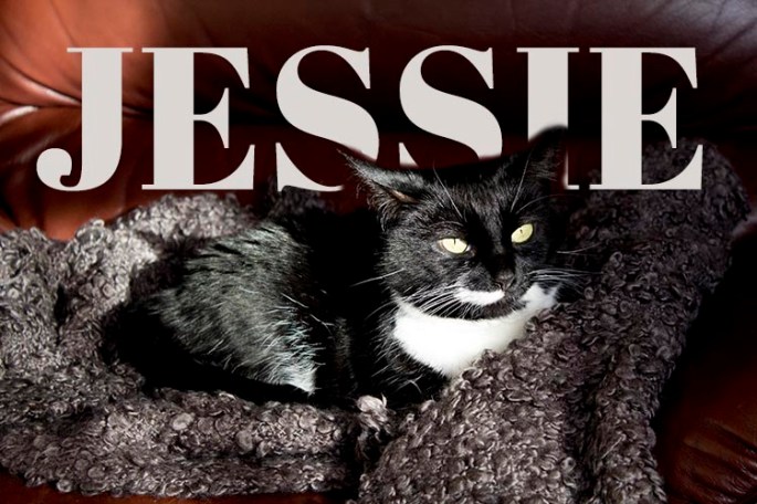 Use a Photoshop mask to put text behind an image – No More Mondays